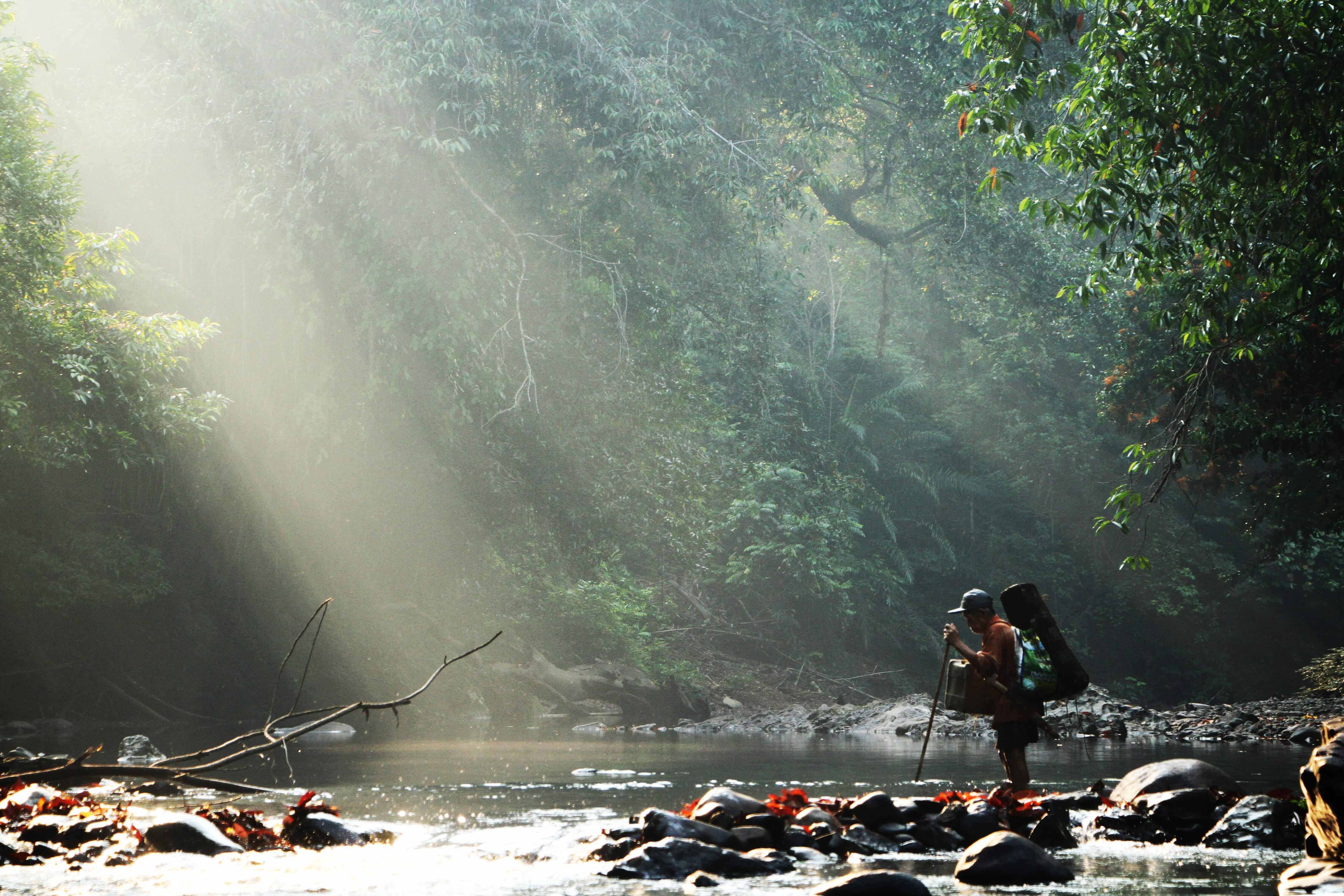 RESPONSIBLE FOREST MANAGEMENT THROUGH THE FSC ECOSYSTEM SERVICE ...