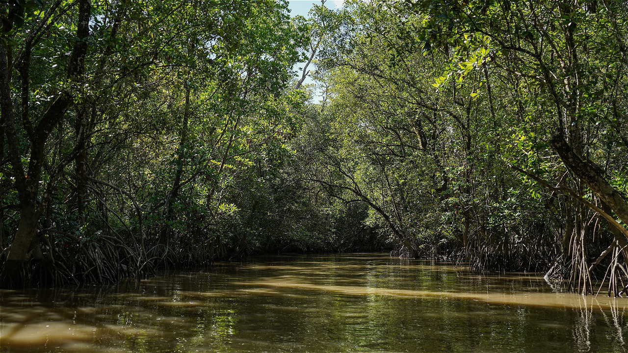 INITIAL MEETING OF WWF-INDONESIA PARTNERSHIP PROGRAM AND SUPIORI ...