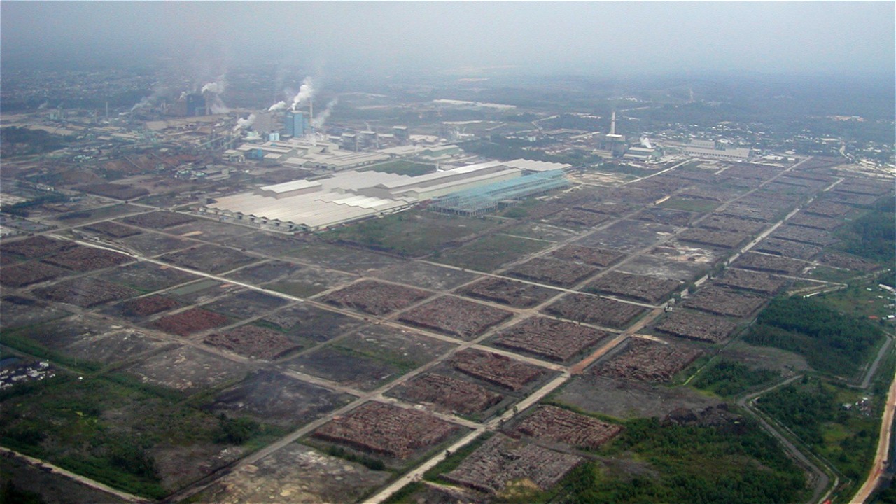 WWF: APP MUST DO MORE FOR CONSERVATION, NOT JUST STOP LOGGING NATURAL ...