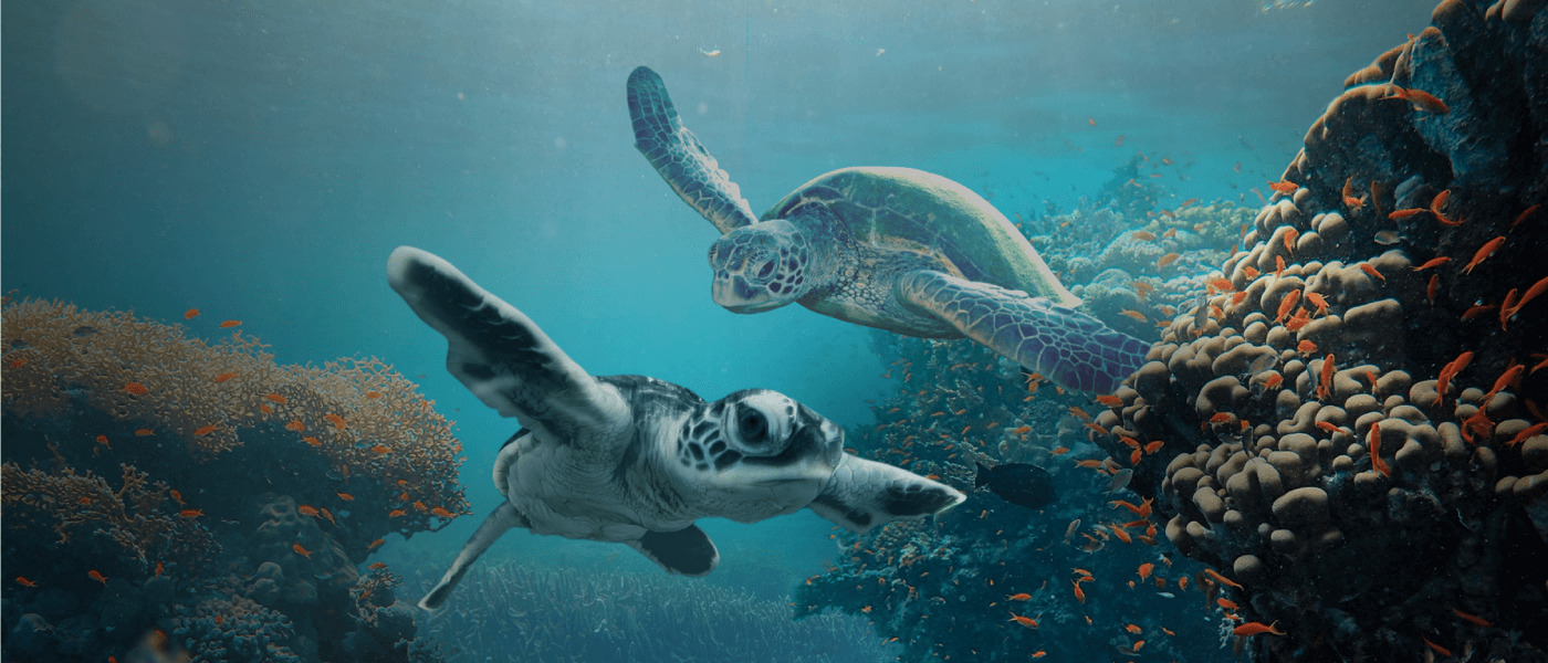 WWF-INDONESIA